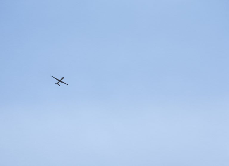 Artwork - Dread Scott